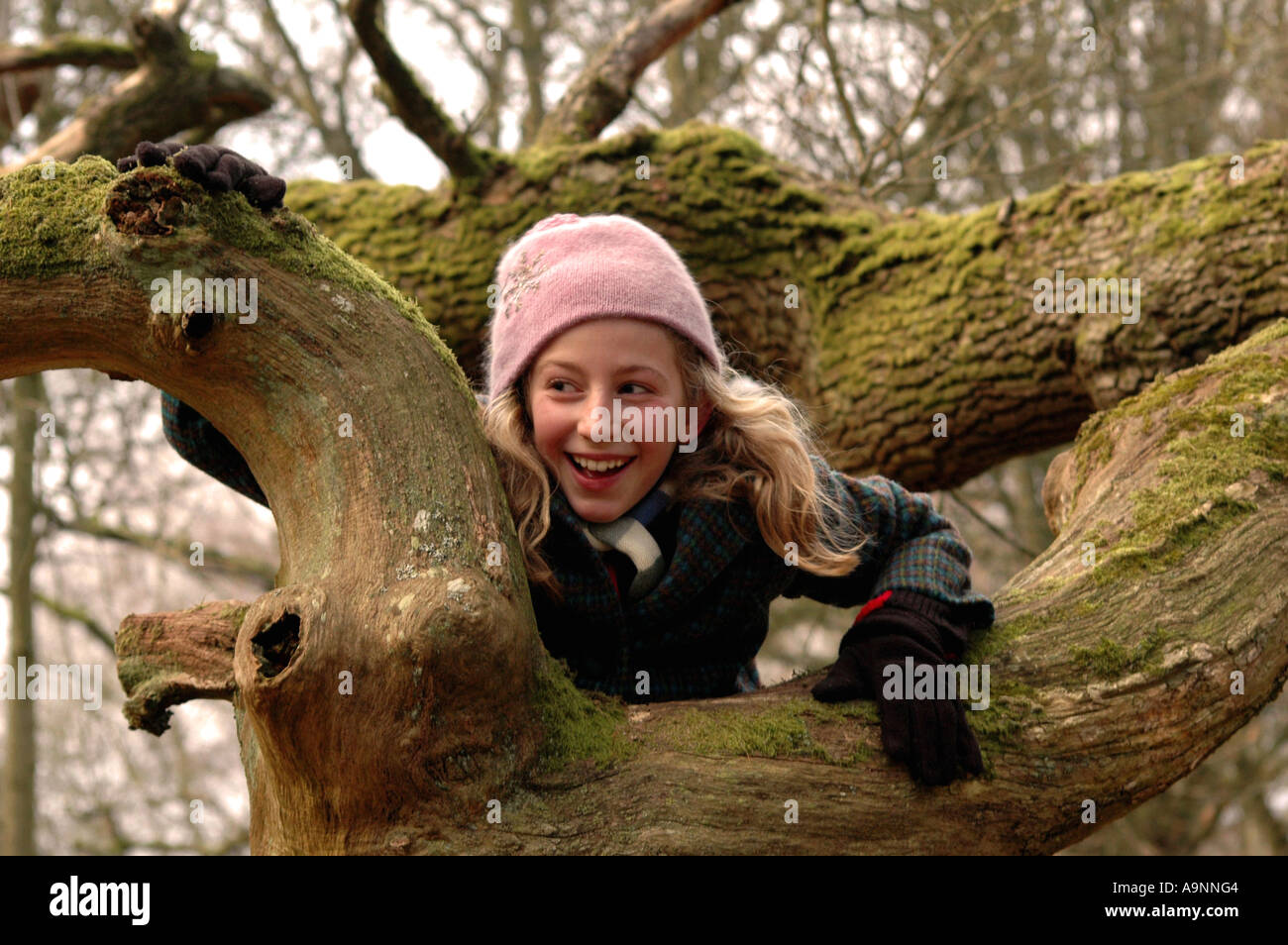 Child Climbing Tree Oak High Resolution Stock Photography and Images ...