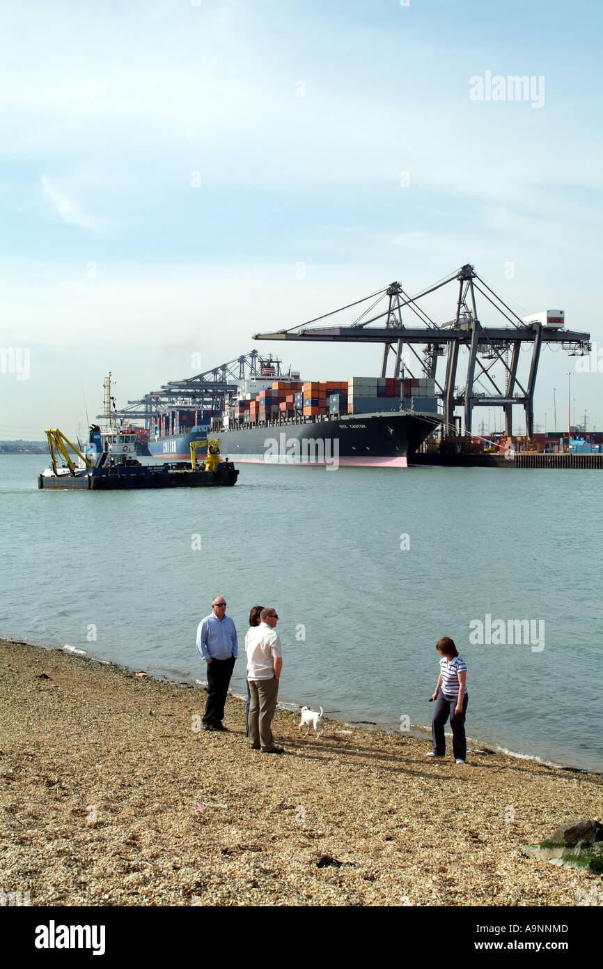 Container ships docked on quayside Port of Southampton southern England ...