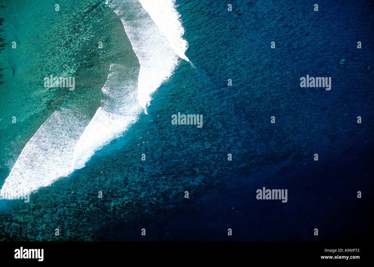 Ariel View of Wave at St Leu Ile de la Reunion Stock Photo - Alamy