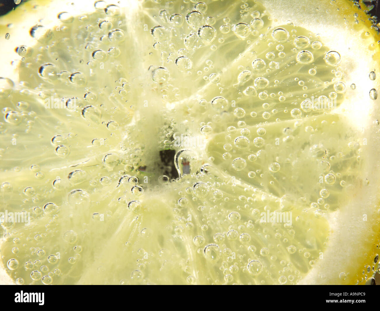 Lemon slice with bubbles Stock Photo - Alamy