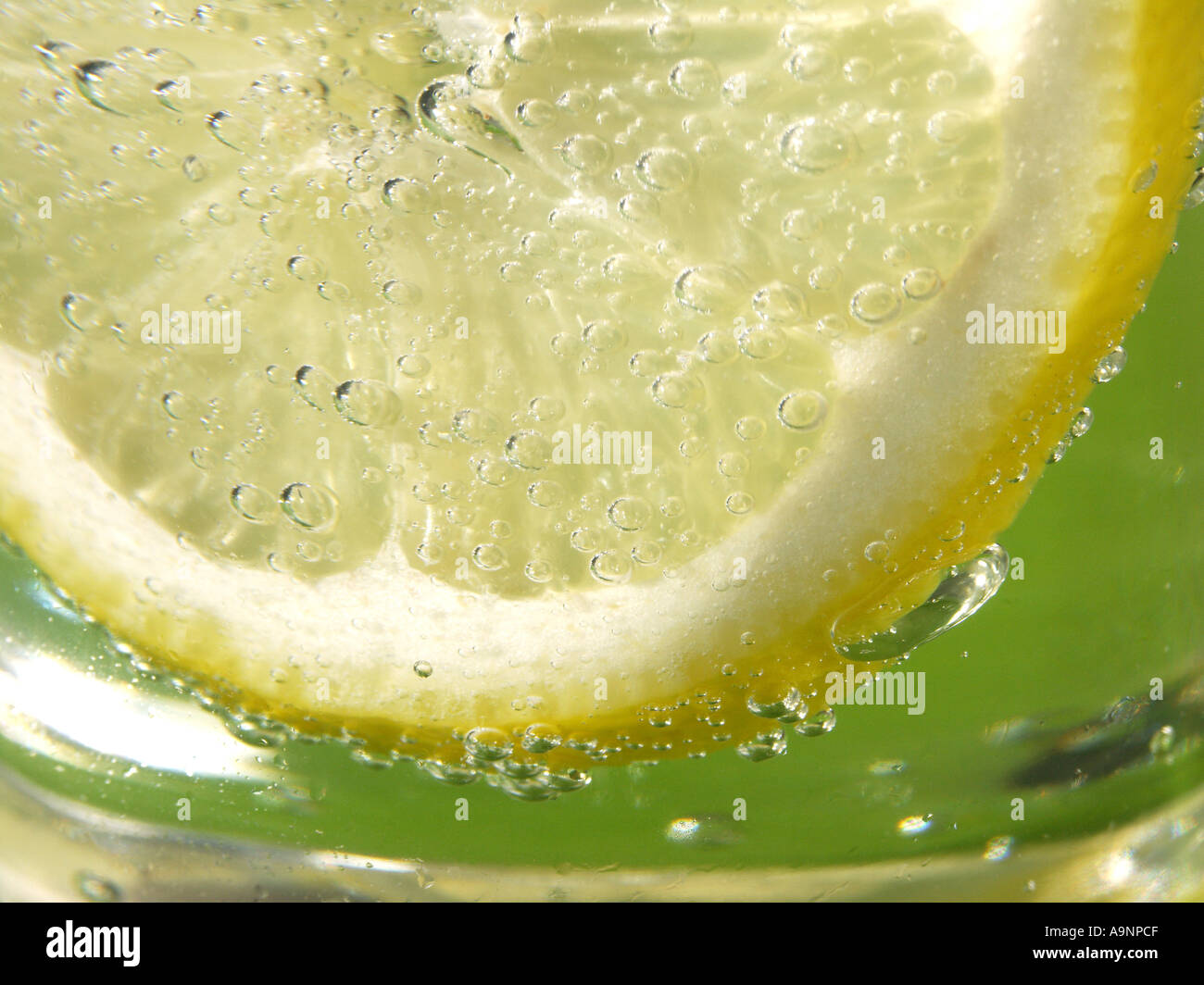 Lemon slice with bubbles Stock Photo - Alamy