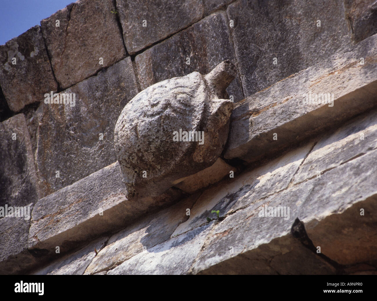 MAYAN TEMPLE THE HOUSE OF THE TURTLES AT UXMAL YUCATAN MEXICO Stock ...