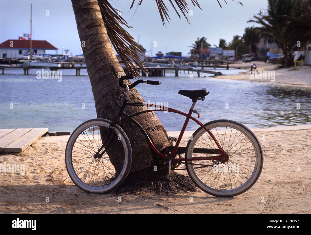 Ambergris caye belize bike hi-res stock photography and images - Alamy