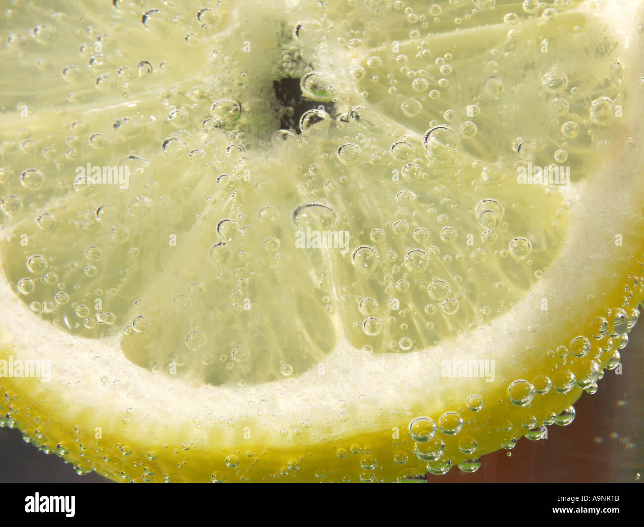 Lemon slice with bubbles Stock Photo - Alamy