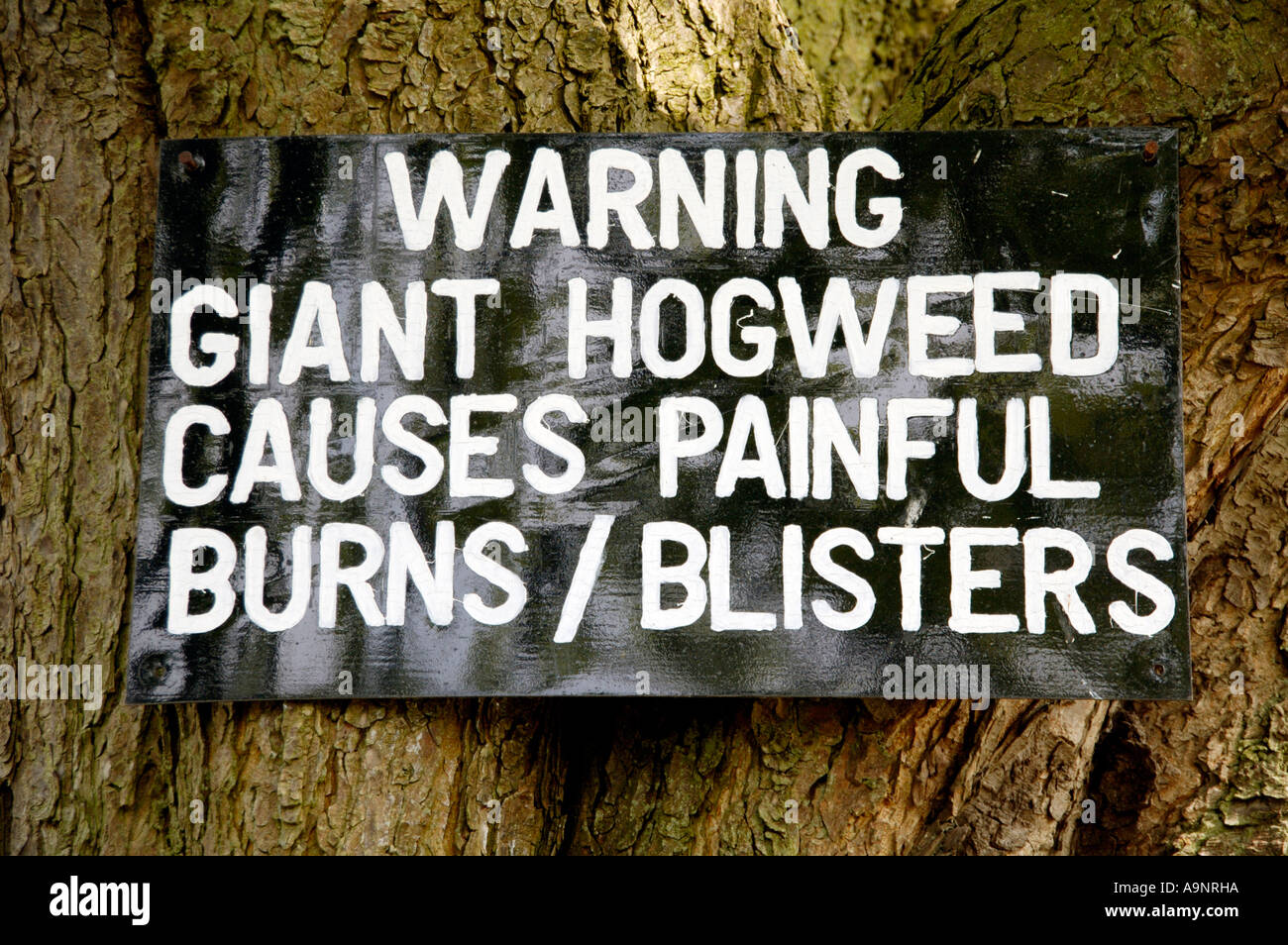 River weeds uk hi-res stock photography and images - Alamy