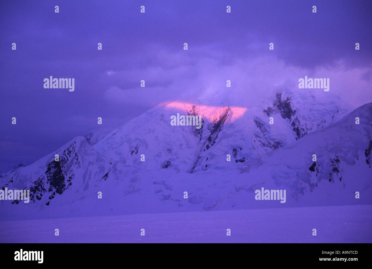 Alpenglow on Mount Crosson AK Stock Photo - Alamy