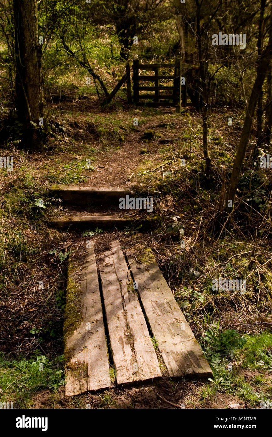 Three wooden sleepers make a path to steps and a gate in a woodland ...