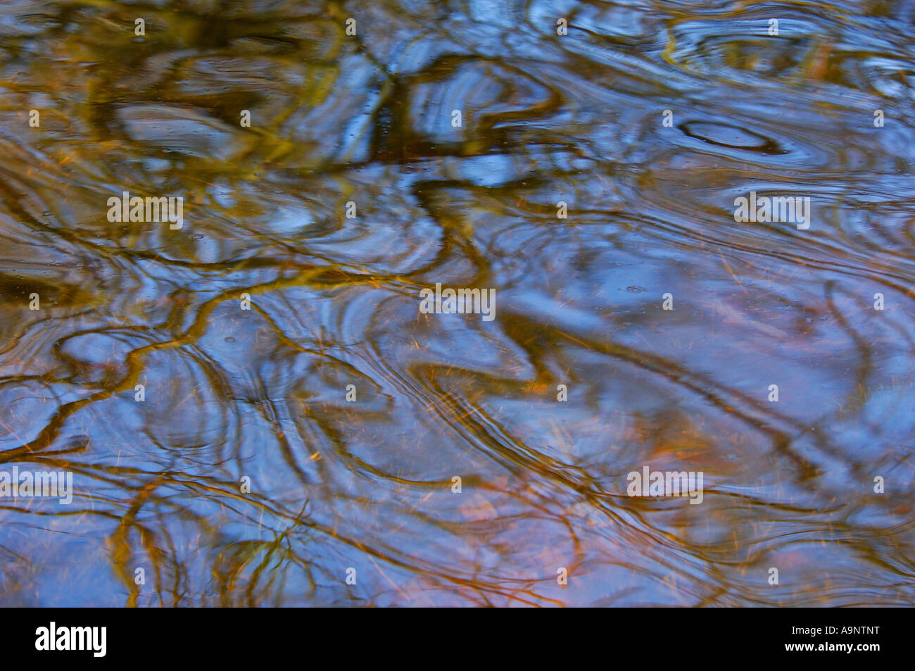 Close up abstract study of ripples on a lake frozen in time and ...
