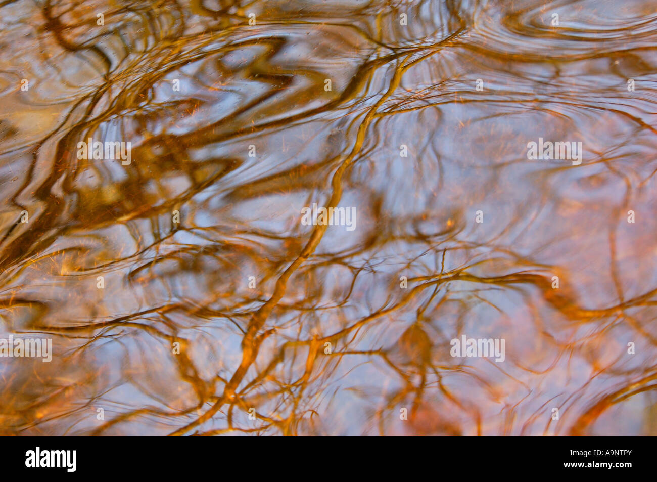 Close up abstract study of ripples on a lake frozen in time and ...
