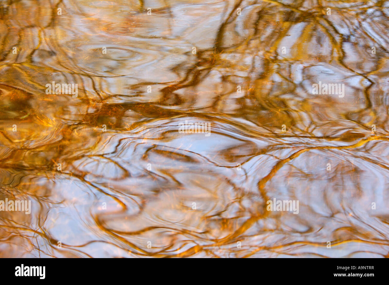 Close up abstract study of ripples on a lake frozen in time and ...