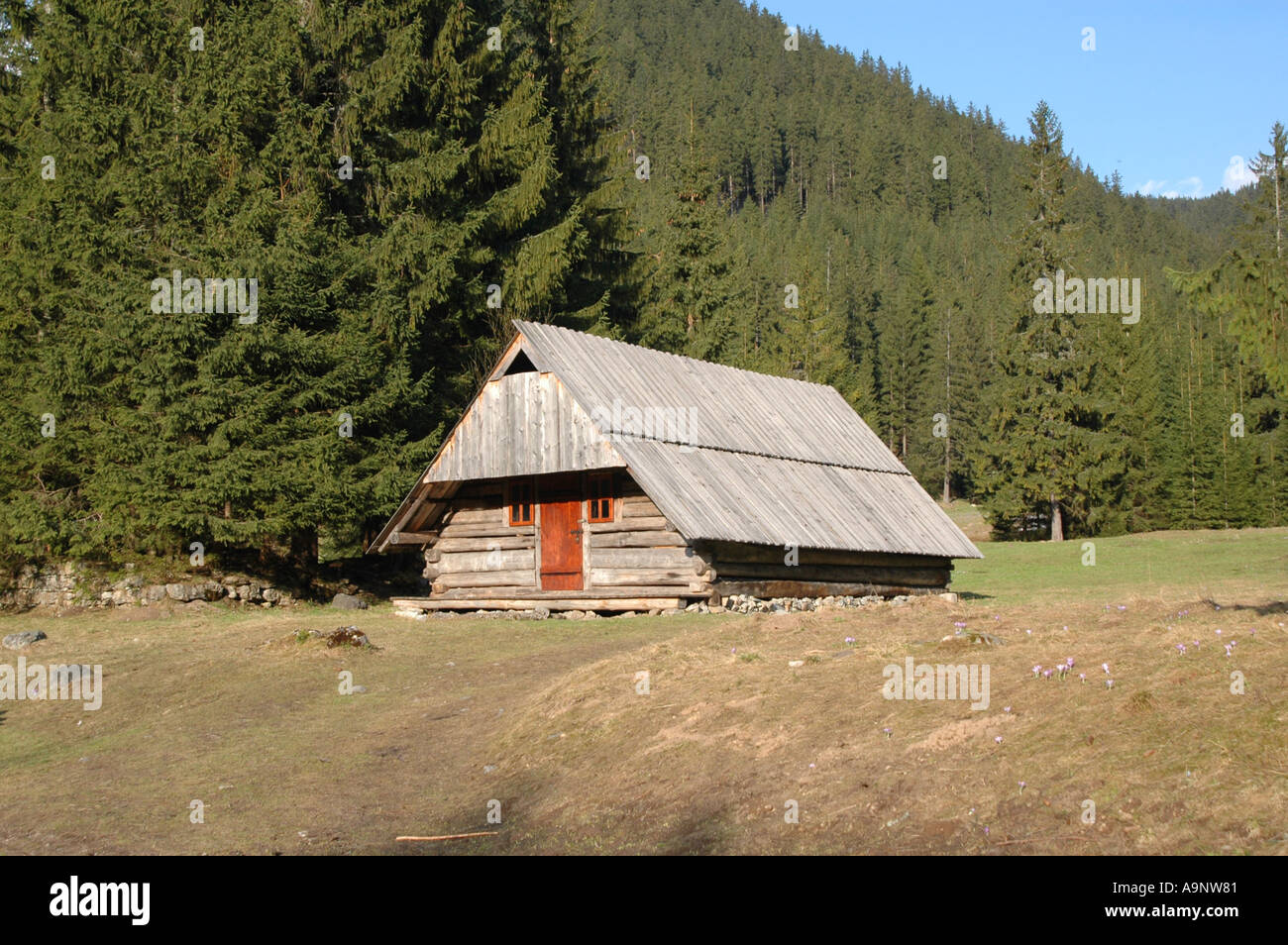 Wooden hut on the way to Chocholowska Valley in Polish Tatra Mountains ...