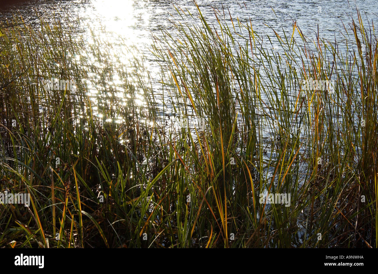 Saville gardens hi-res stock photography and images - Alamy