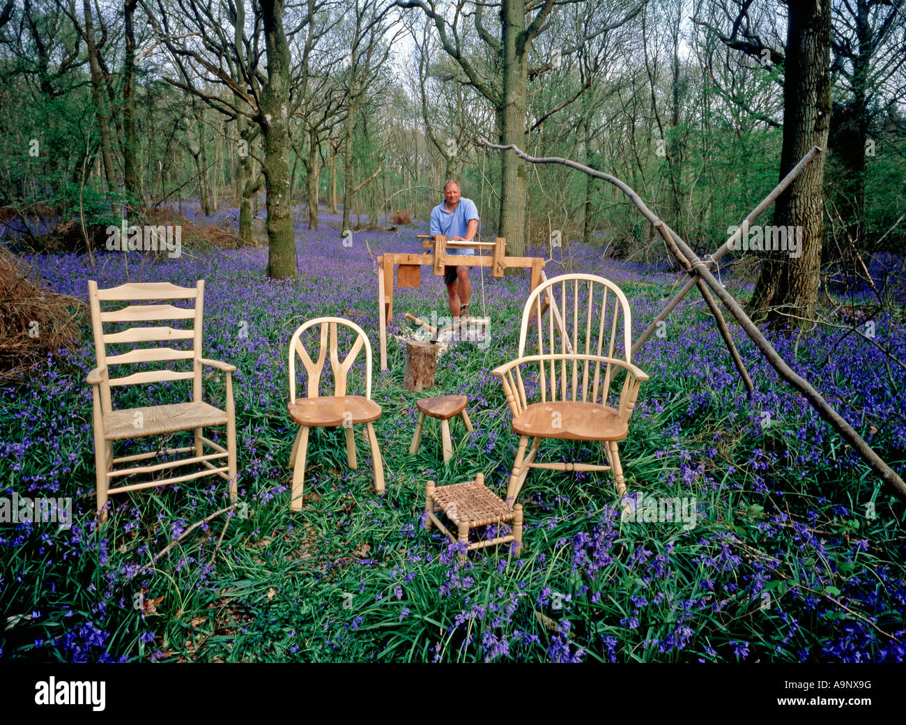 Ancient coppiced woodland hi-res stock photography and images - Alamy