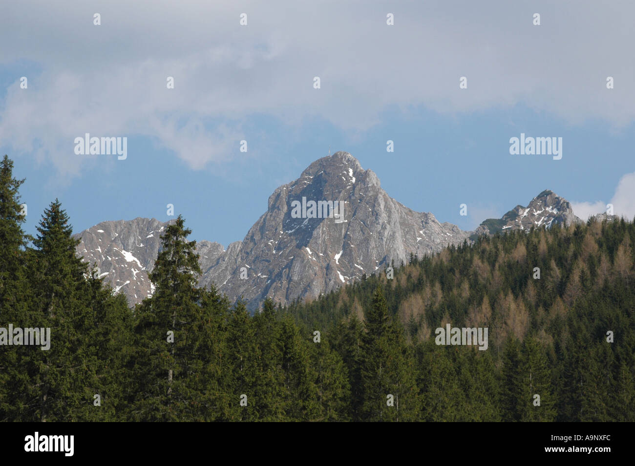 Mt Giewont in Polish Tatra mountains seen from Dolina Malej Laki Stock ...