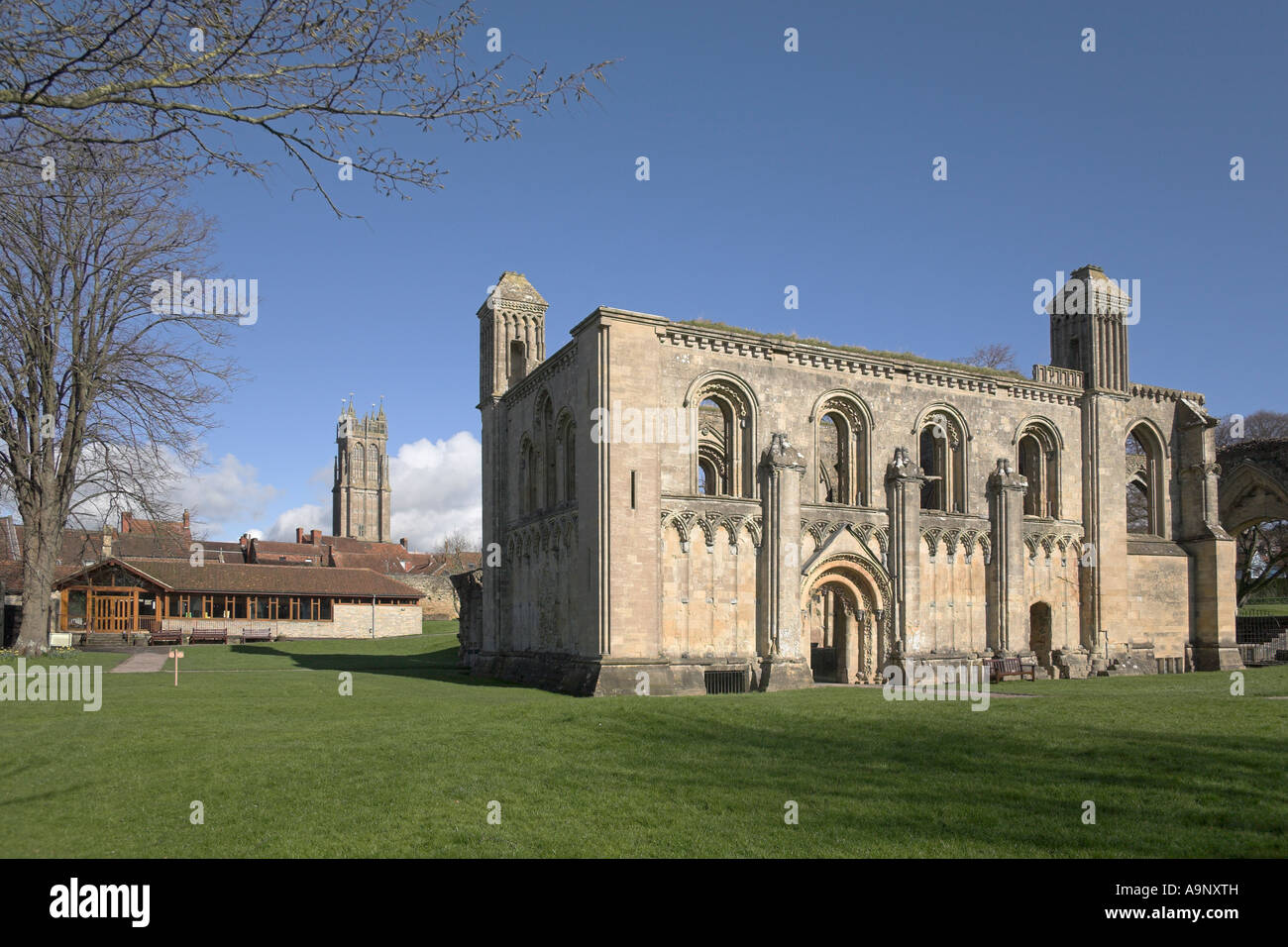 Glastonbury Abbey Somerset English monastery ruined church Stock Photo ...