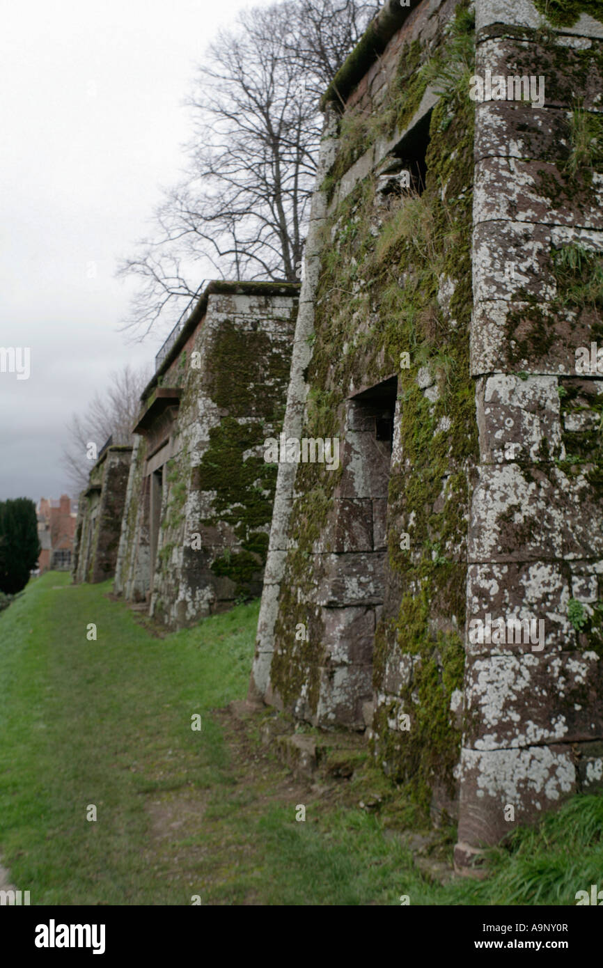 catacombs exeter devon england cemetery Stock Photo - Alamy