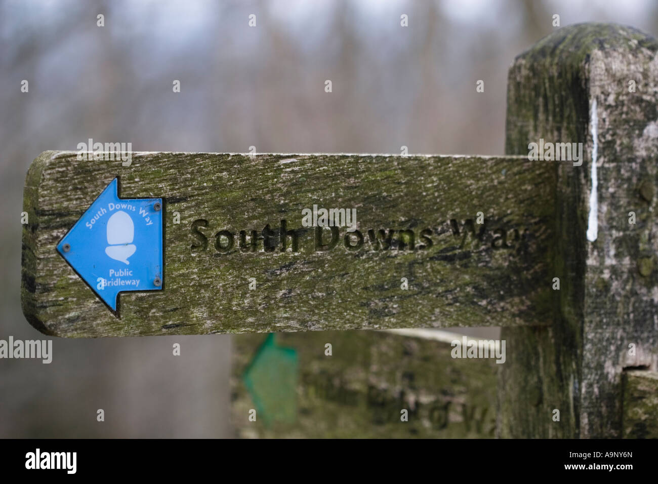 South Downs Way signpost Stock Photo - Alamy