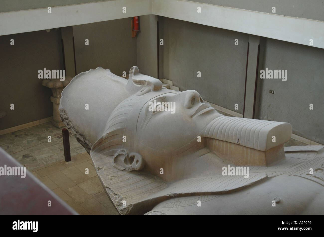 Colossus of Ramesses II, Memphis, Egypt Stock Photo - Alamy