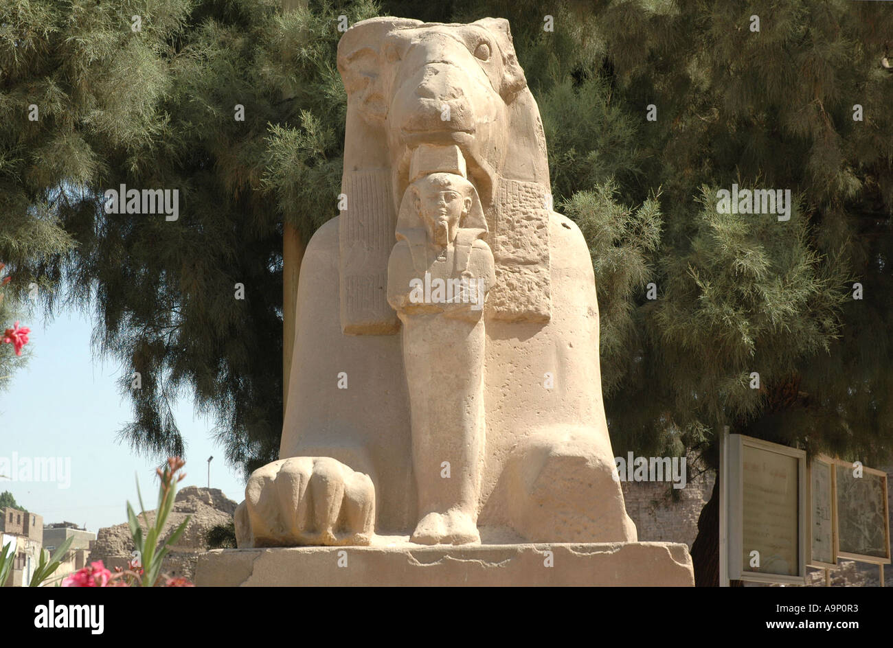 Ram headed Sphinx in the Avenue of sphinxes, Karnak, Egypt Stock Photo ...