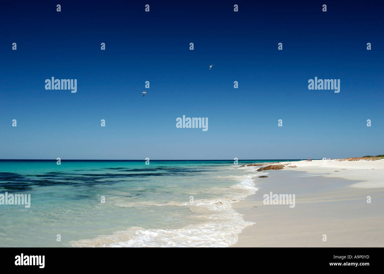 Eagle bay western australia hi-res stock photography and images - Alamy