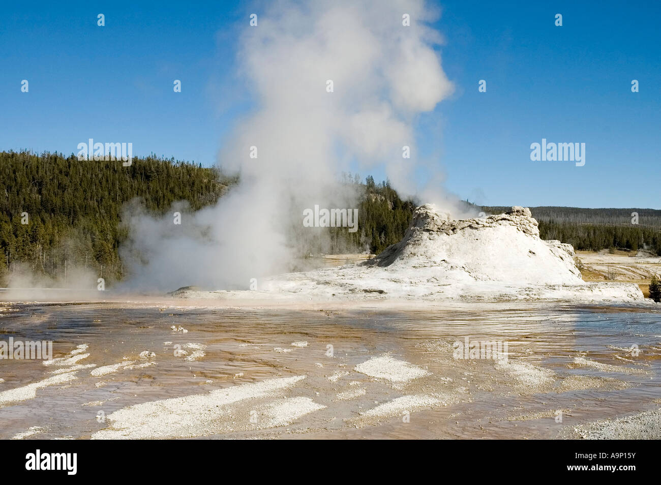 A horizontal picture of one of the many geysers in Yellowstone National ...