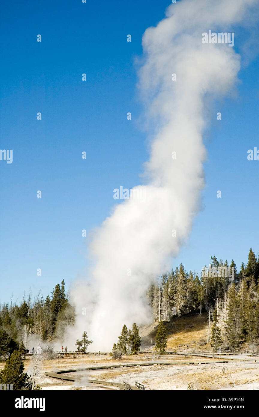 A vertical picture of one of the many geysers in Yellowstone National ...