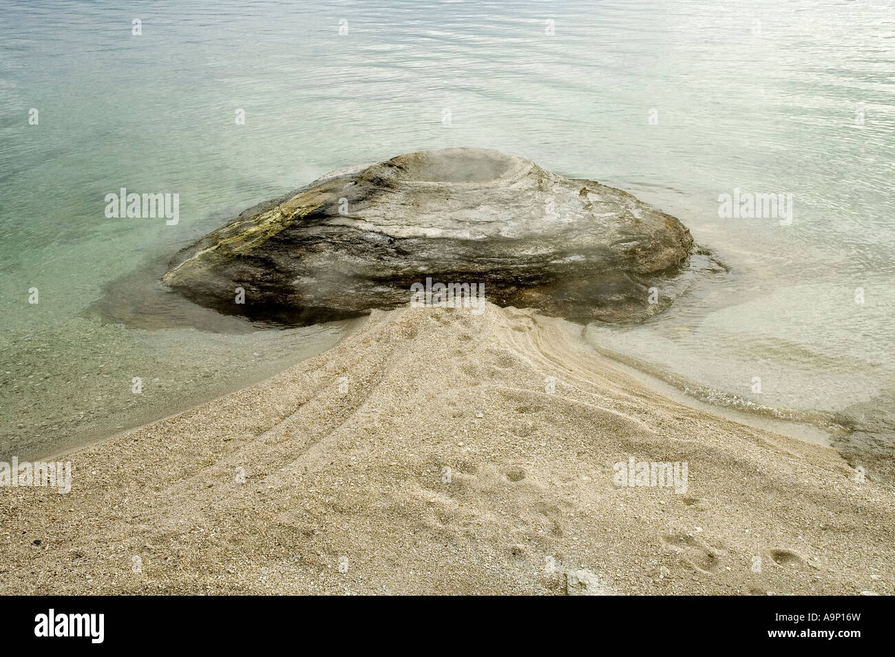 A horizontal picture of one of the many geysers in Yellowstone National ...