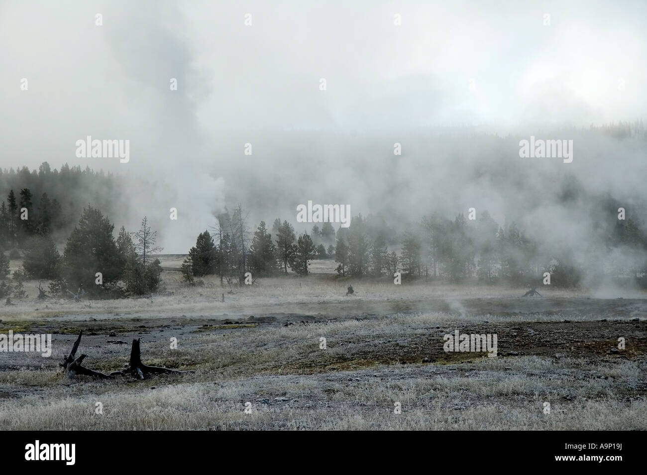 Yellowstone fire history hi-res stock photography and images - Alamy