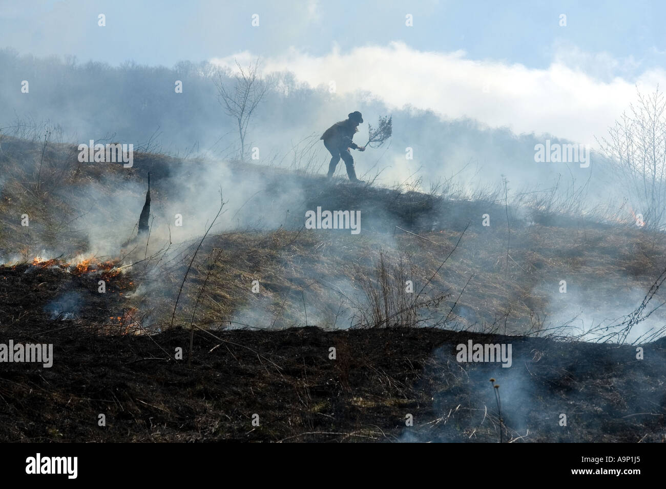 Man trying to control fire spreading Stock Photo - Alamy