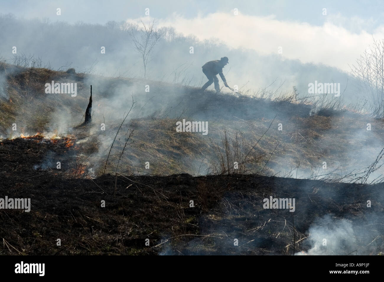 Man trying to extinguish a fire Stock Photo - Alamy