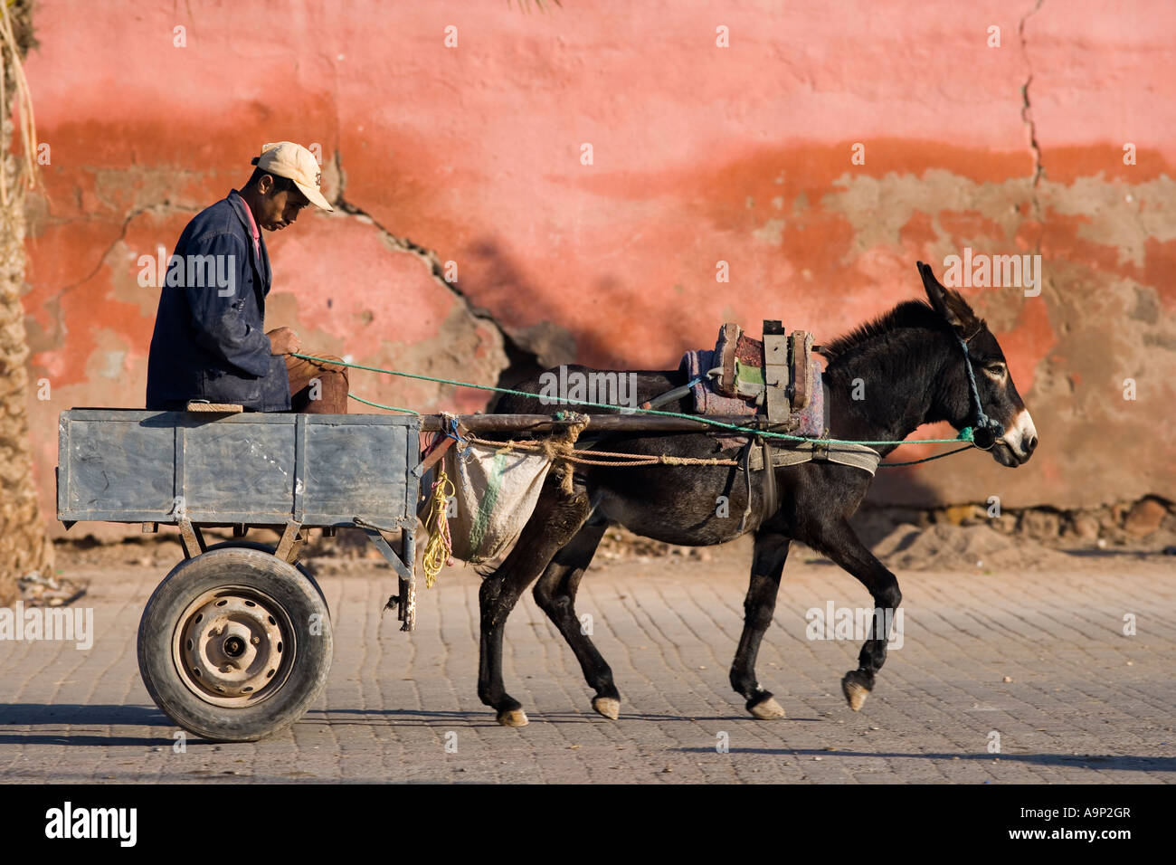 Man on donkey cart pulled hi-res stock photography and images - Alamy