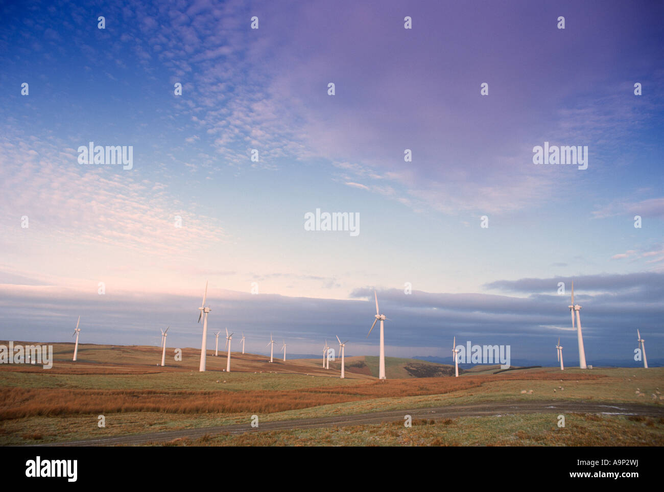 Penryddlan Wind Farm Stock Photo - Alamy