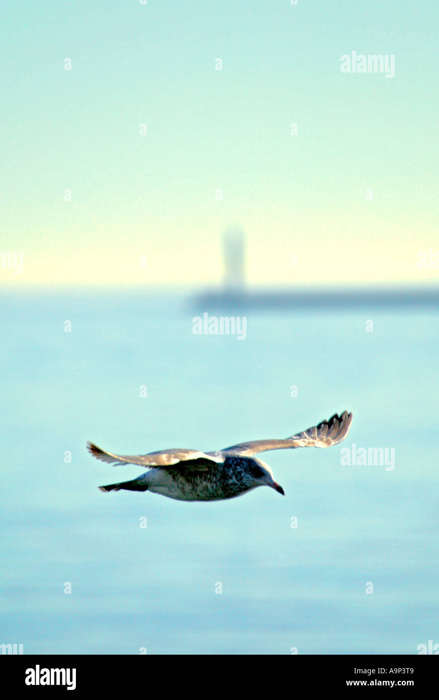 Harbor view of milwaukee hi-res stock photography and images - Alamy