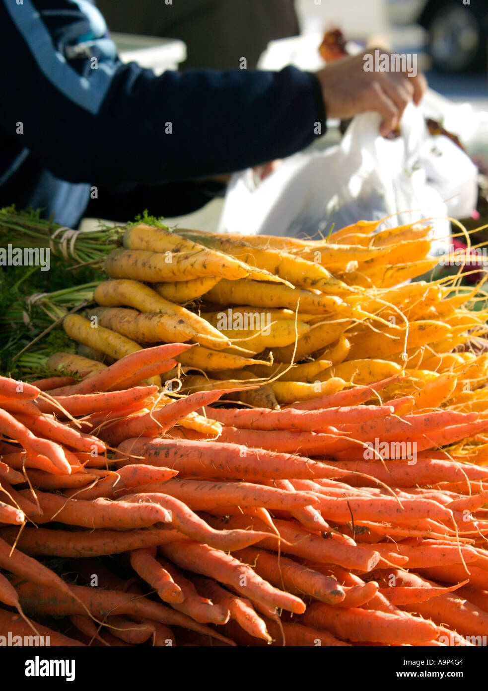 Vegetables harvest close up square hi-res stock photography and images ...