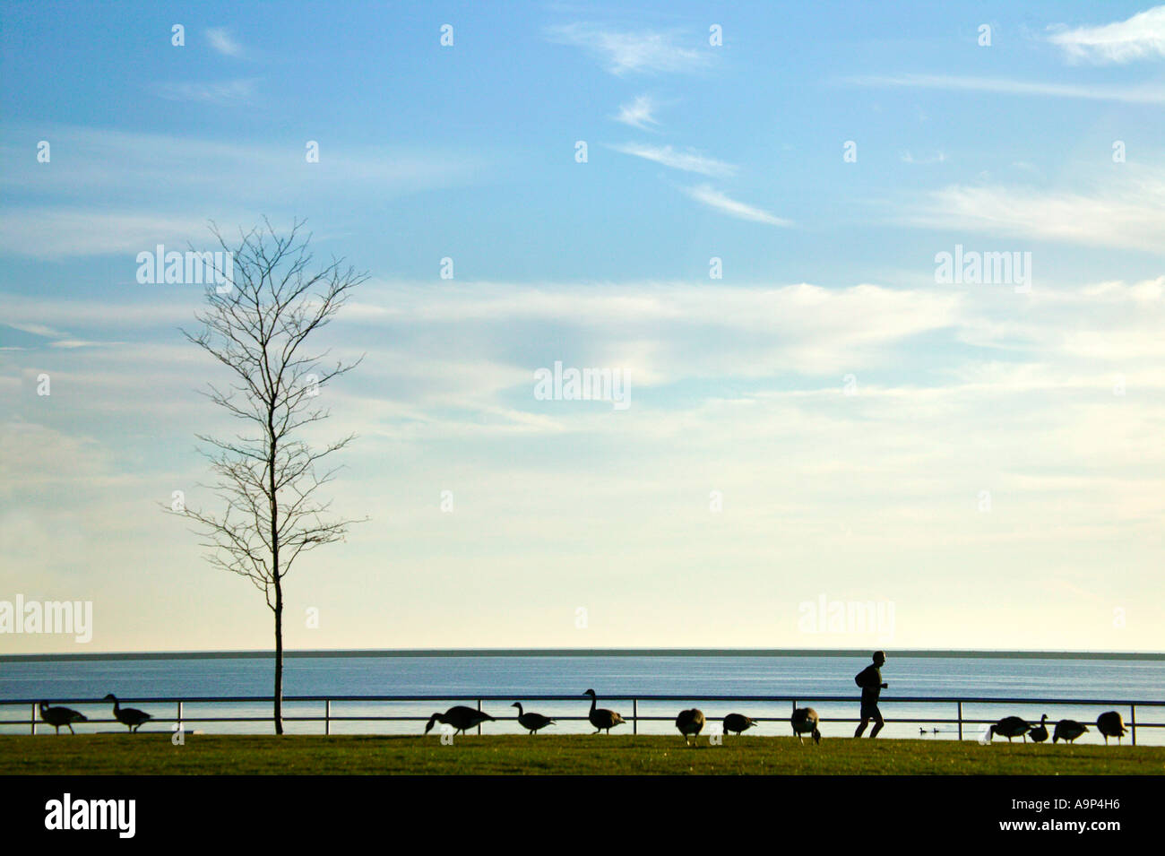 Active milwaukee hi-res stock photography and images - Alamy