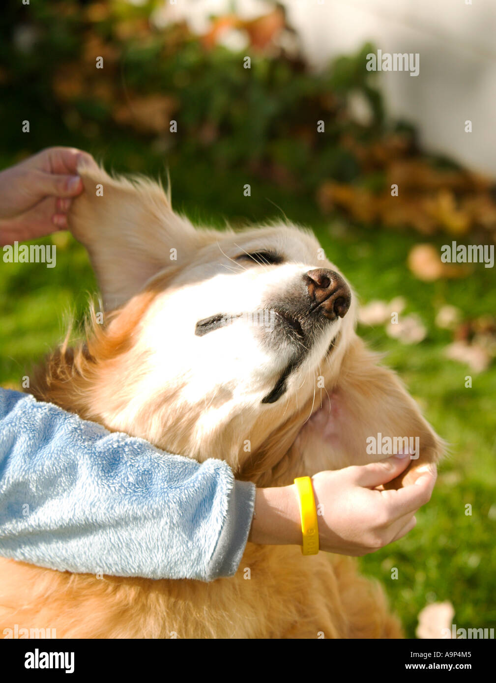 Children playing holding hands 12 years hi-res stock photography and ...
