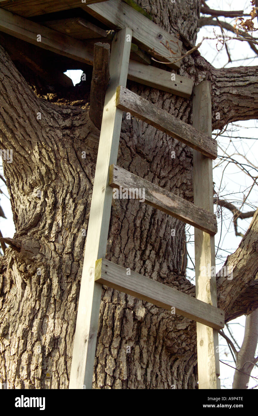 Climb wooden ladders hi-res stock photography and images - Alamy