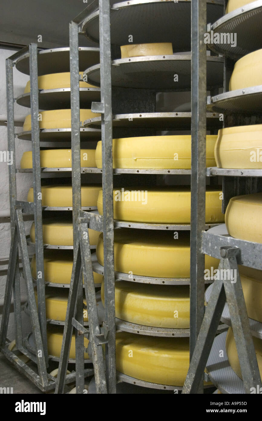 Emmentaler in alpine dairy in Ofterschwang Germany Stock Photo - Alamy