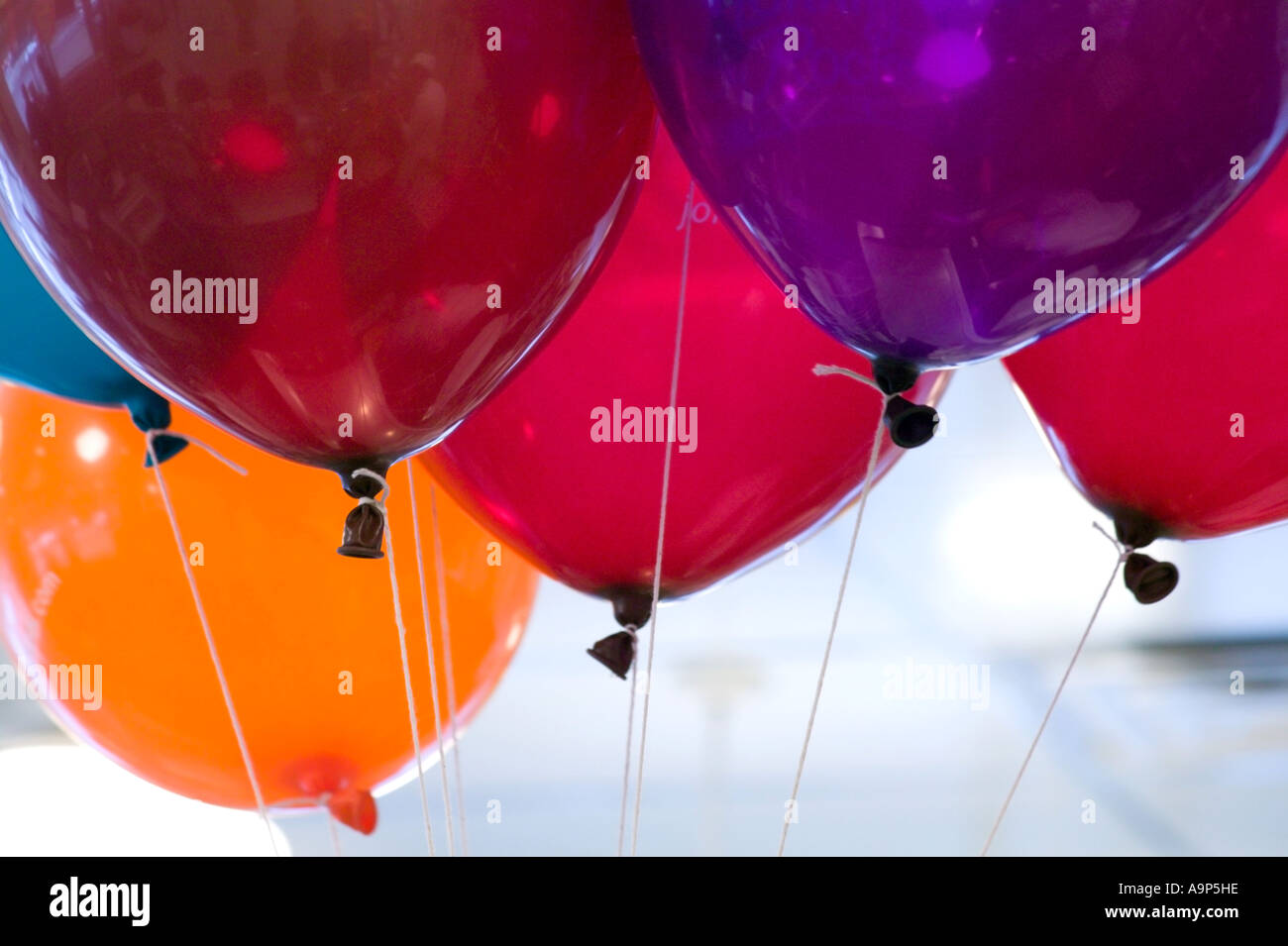 Closeup of balloons tied to strings Stock Photo - Alamy