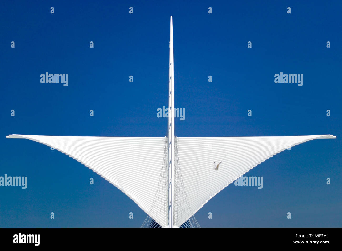 Santiago calatrava designs hi-res stock photography and images - Alamy