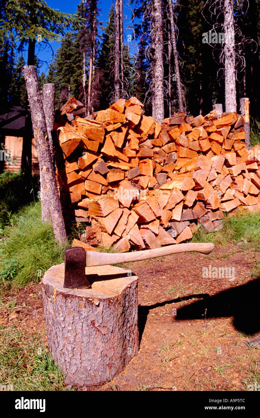 Axe for Chopping and Splitting Wood embedded in a Log beside a Woodpile ...