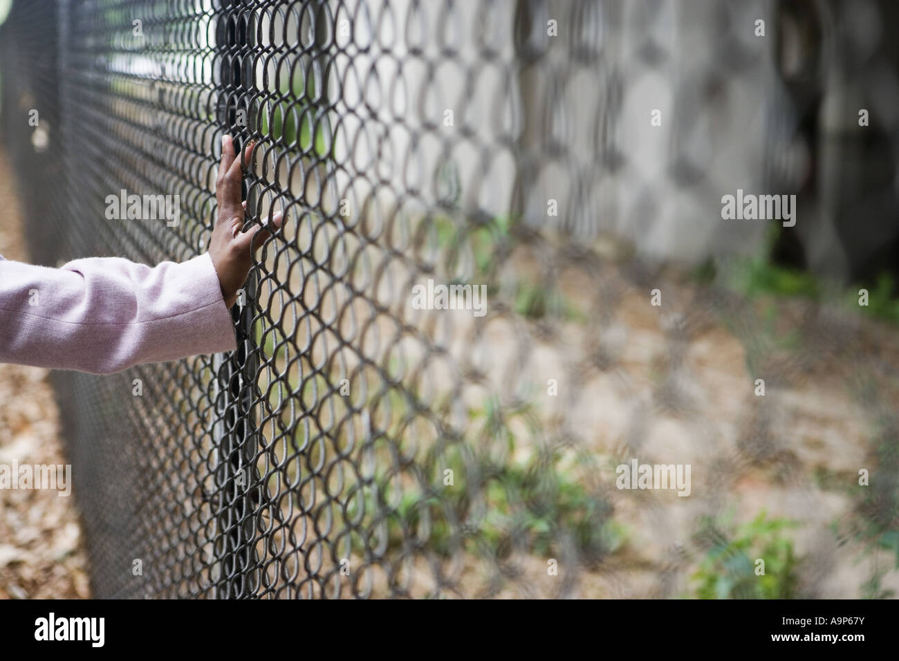 Human hand on a fence Stock Photo - Alamy