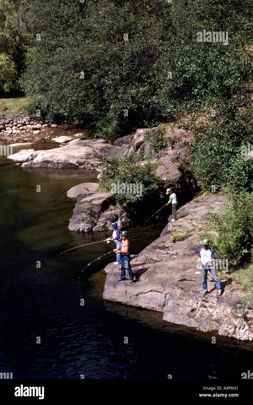 Sport Fishermen fishing in Stamp River near Port Alberni, BC, Vancouver ...