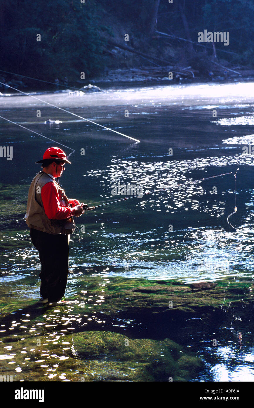 Fishing for Salmon in Stamp River in Stamp Falls Provincial Park near ...