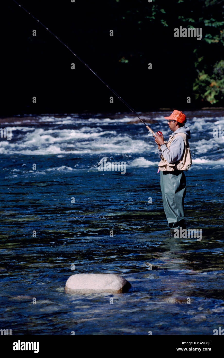 Fishing for Salmon in Stamp River in Stamp Falls Provincial Park near ...