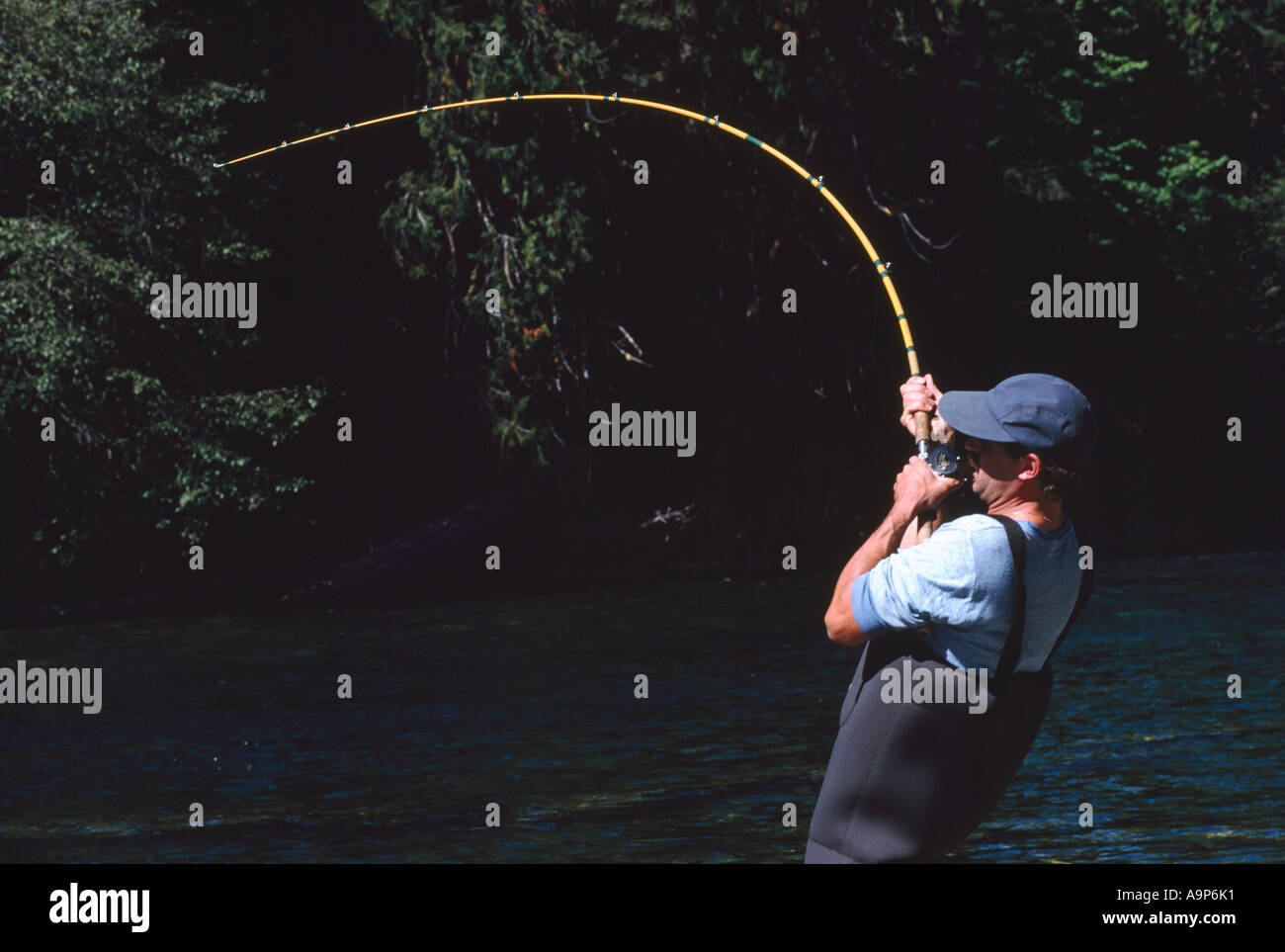 Fishing for Salmon in Stamp River in Stamp Falls Provincial Park near ...