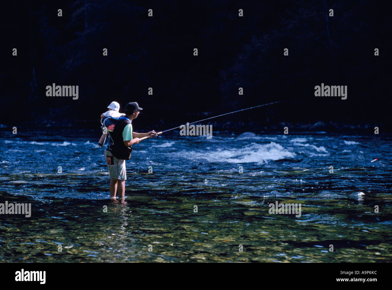 Fishing for Salmon in Stamp River in Stamp Falls Provincial Park near ...