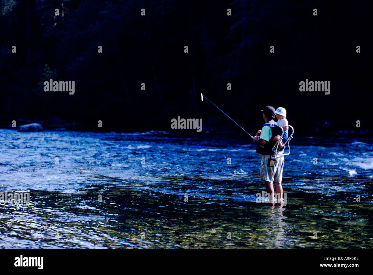Fishing for Salmon in Stamp River in Stamp Falls Provincial Park near ...
