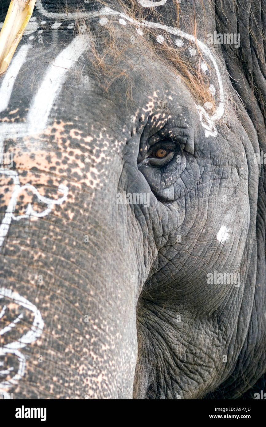 Indian Babas High Resolution Stock Photography and Images - Alamy