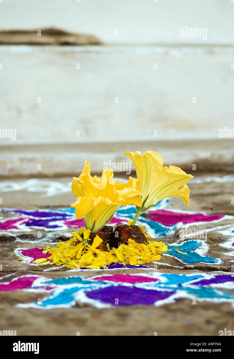 Indian rangoli design with flowers and cow dung offerings on an indian ...